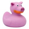 Pig Rubber Duck | Buy premium rubber ducks online - world wide delivery!